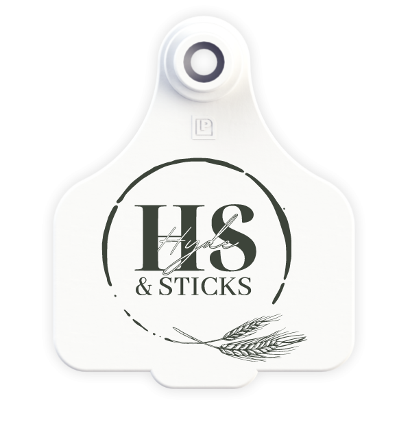 SHOP ALL ACCESSORIES – Hyde and Sticks